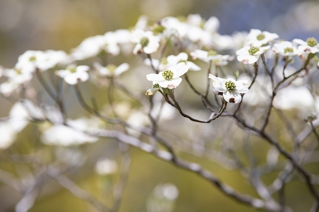 looking back on life Vol.1195: Wardrobe の宝物
